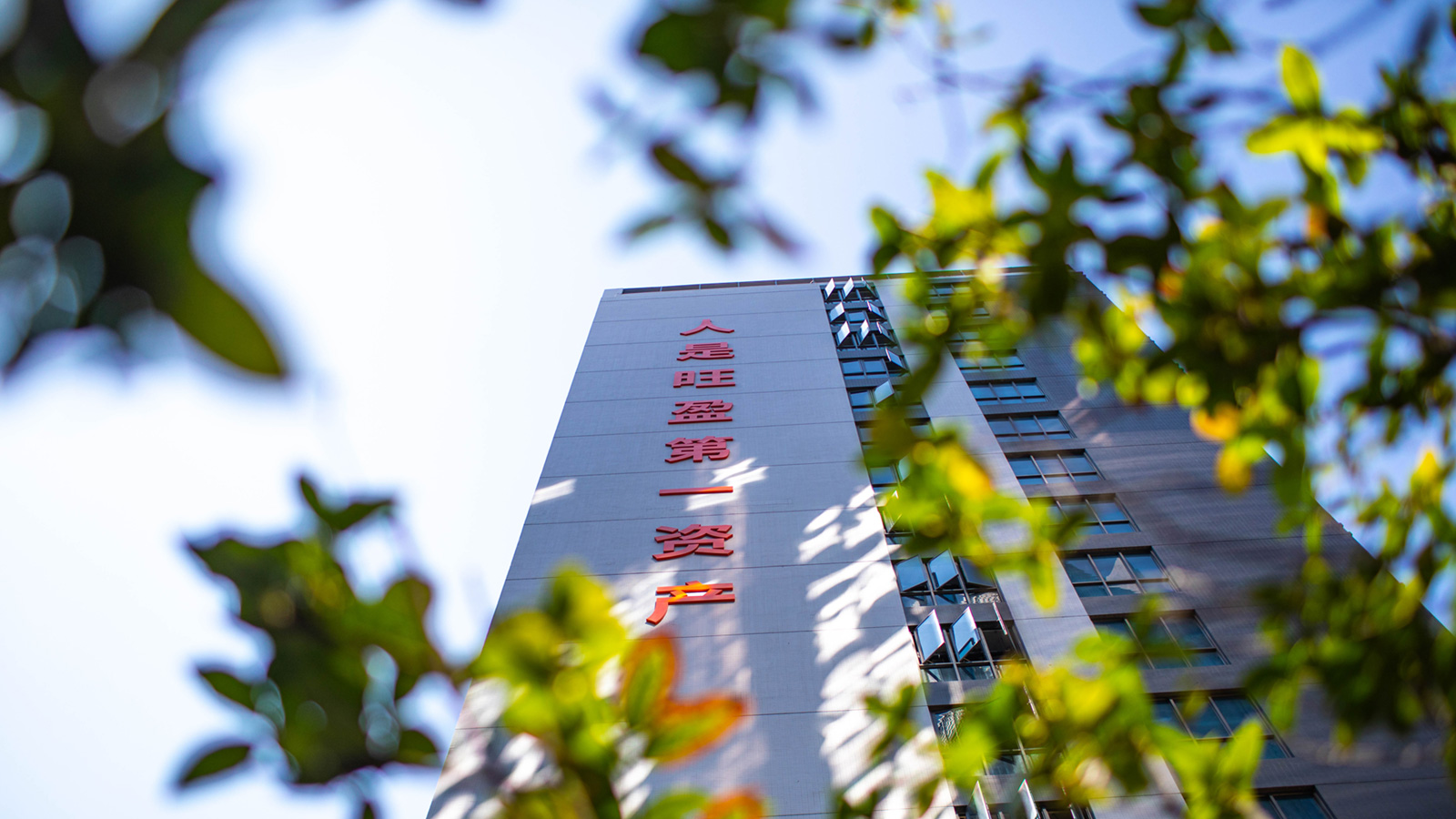 VOION - Packaging innovation - 旺盈集团